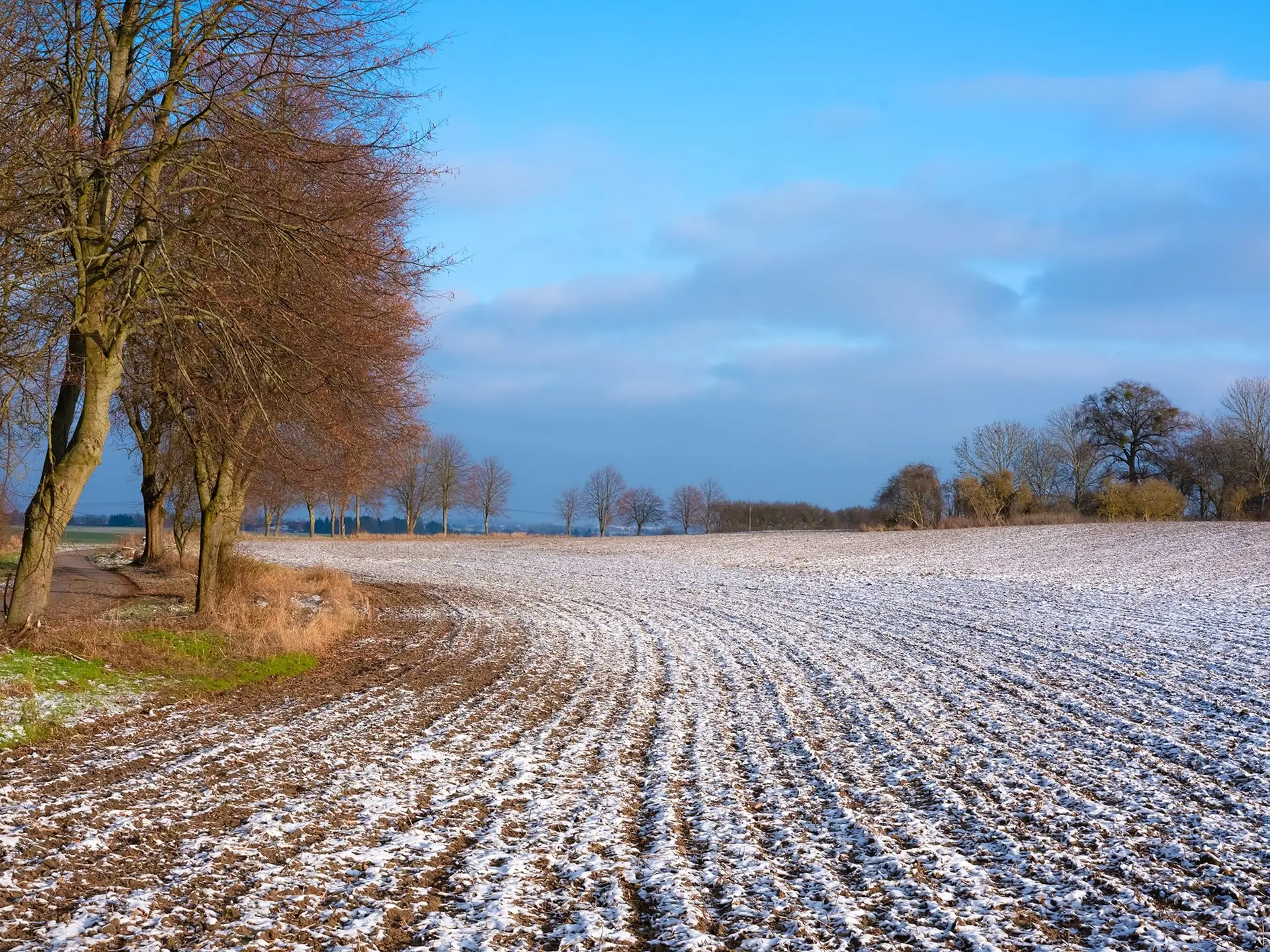 Les modifications du Plan Stratégique PAC wallon pour 2026 | FUGEA